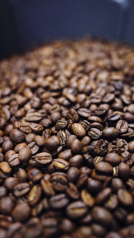 Segundo Coffee HTX – Segundo Coffee Lab